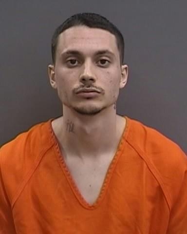 ANGEL CAREY of TAMPA booked for 0.00