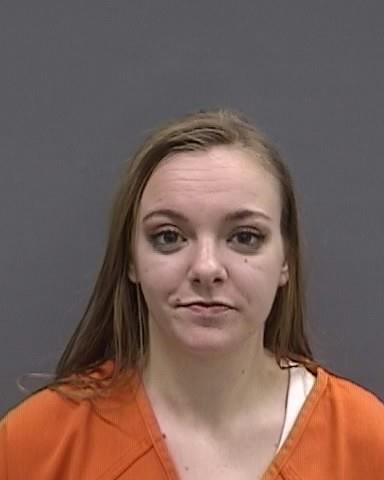 Hillsborough County Who's in Jail - HCSO Arrest Inquiry Search