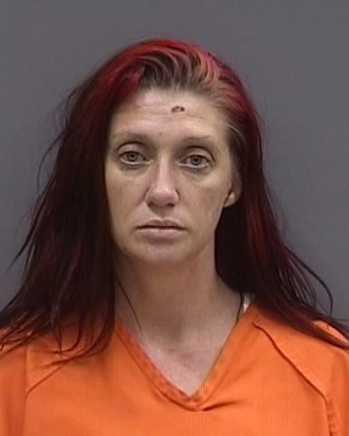 MELISSA KRISTOF WINGATE booked for 0.00