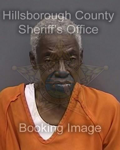 ROBIN DENISE MCKINNON of TAMPA booked for $500.00