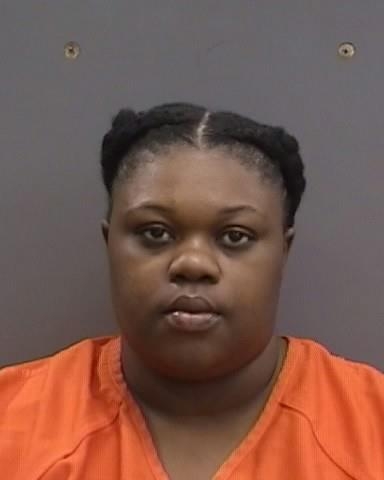 Hillsborough County Who's in Jail - HCSO Arrest Inquiry Search