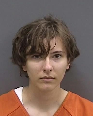 ELIZABETH ROWE booked for 0.00