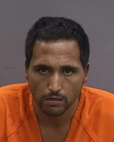 Hillsborough County Who's in Jail - HCSO Arrest Inquiry Search