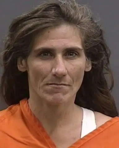 Hillsborough County Who's in Jail - HCSO Arrest Inquiry Search
