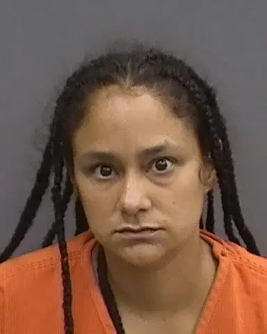 Hillsborough County Who's in Jail - HCSO Arrest Inquiry Search