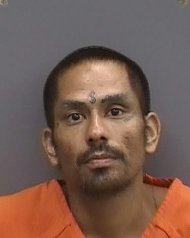 Hillsborough County Who's in Jail - HCSO Arrest Inquiry Search