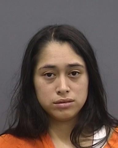 Hillsborough County Who's in Jail - HCSO Arrest Inquiry Search