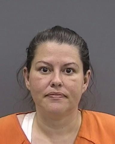 Hillsborough County Who's in Jail - HCSO Arrest Inquiry Search