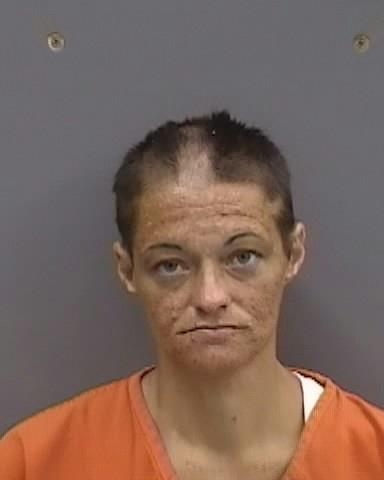 ALLISON CASSON booked for 500.00