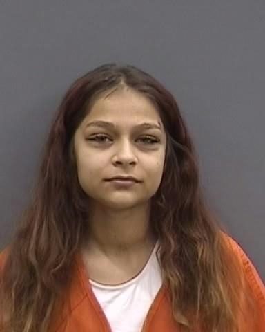 ELIZABETH RODRIGUEZ booked for 0.00