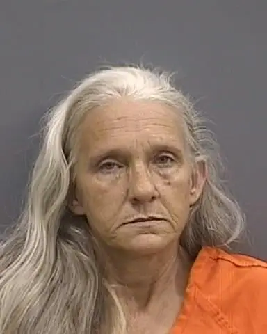 GEORGIA NELSON booked for 0.00