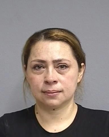 Hillsborough County Who's in Jail - HCSO Arrest Inquiry Search