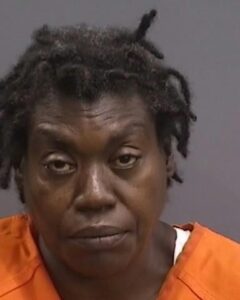 SATRINA JOHNSON booked for 0.00