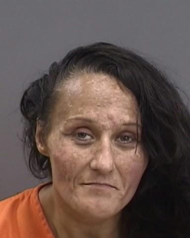 SHELLY BOHAGER booked for 0.00