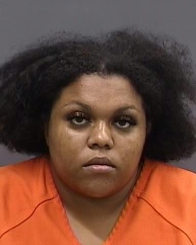 Hillsborough County Who's in Jail - HCSO Arrest Inquiry Search