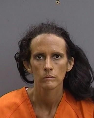 Hillsborough County Who's in Jail - HCSO Arrest Inquiry Search