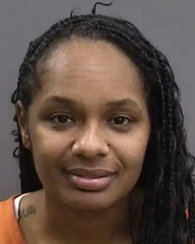 Hillsborough County Who's in Jail - HCSO Arrest Inquiry Search