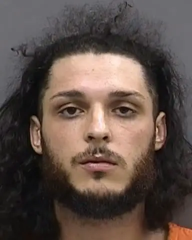 Hillsborough County Who's in Jail - HCSO Arrest Inquiry Search