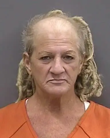 Hillsborough County Who's in Jail - HCSO Arrest Inquiry Search
