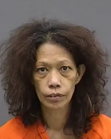 JANET MAY booked for 2,500.00