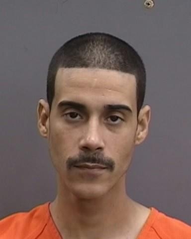 Hillsborough County Who's in Jail - HCSO Arrest Inquiry Search