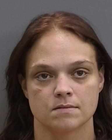 KATIE ALDRICH booked for 0.00