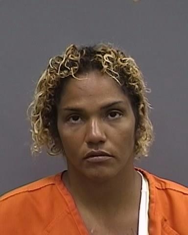 Hillsborough County Who's in Jail - HCSO Arrest Inquiry Search