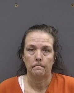 AIMEE LEWIS of TAMPA - tbcrimes.com