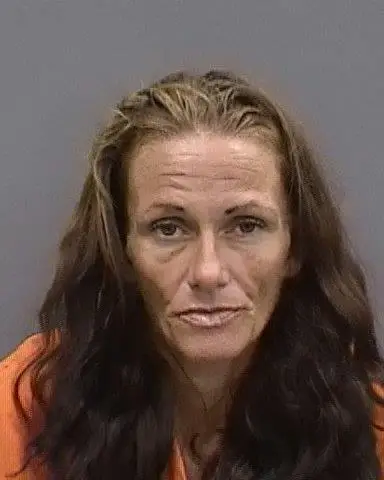 DAWN SISK booked for 2,500.00
