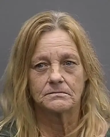 LISA FLOYD booked for 0.00