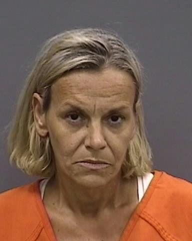 LISA MCKINLEY booked for 500.00