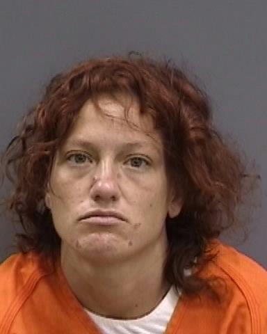 SHANNON-DAILEY HINOSTROZA booked for 0.00