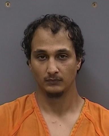 DONALD-III BROWN booked for 0.00