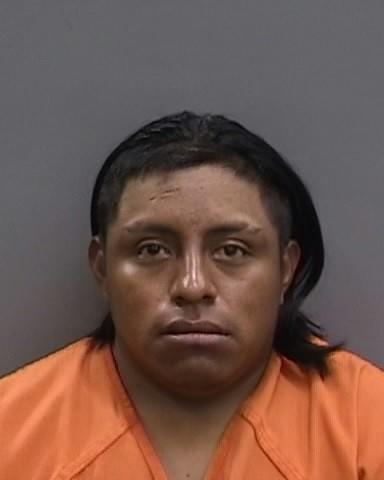 FRANCISCO CASTRO-SANTIAGO booked for 150.00