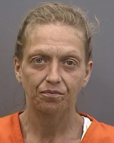 CASEY JOHNSON booked for 500.00