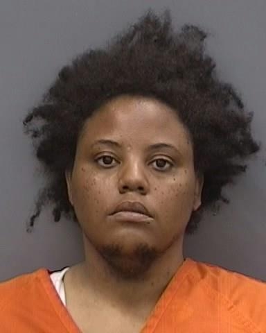 ELIZABETH JOHNSON booked for 0.00