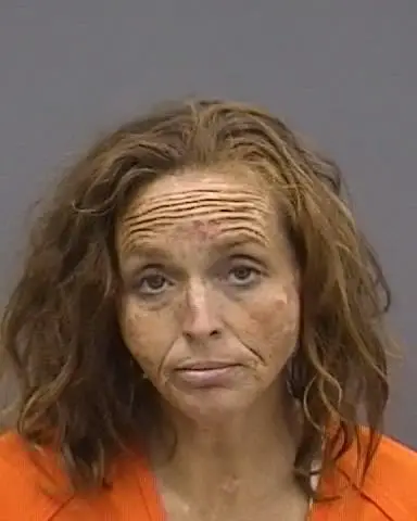 TIFFANY RYAN booked for 0.00
