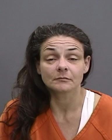 DEBORAH APPLEGATE booked for 500.00