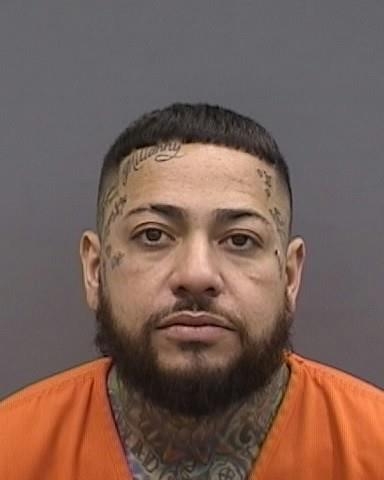MICHAEL ROMAN booked for 500.00
