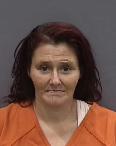 Hillsborough County Who's in Jail - HCSO Arrest Inquiry Search