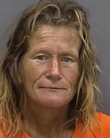 KATHY NICHOLS booked for 500.00