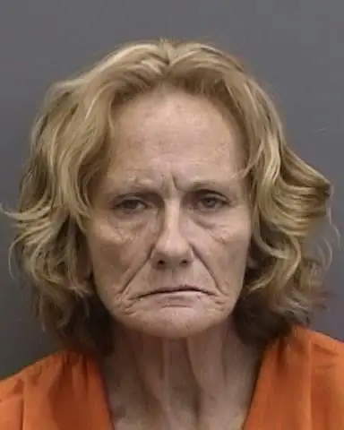 SANDRA WISE booked for 2,500.00