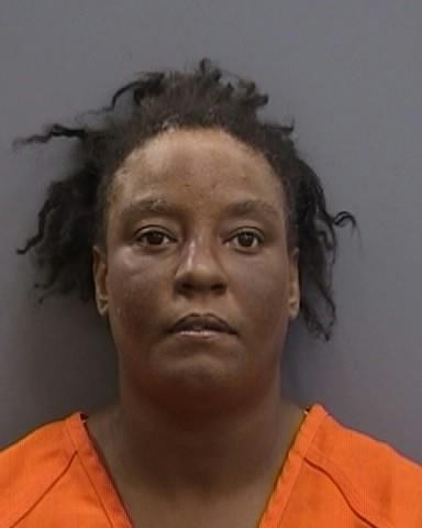 Hillsborough County Who's in Jail - HCSO Arrest Inquiry Search