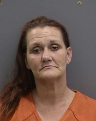 TINA SHAFER booked for 500.00