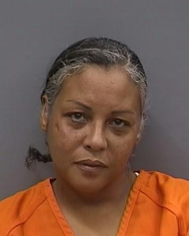 VIVIAN RODRIGUEZ-POTTER booked for 0.00