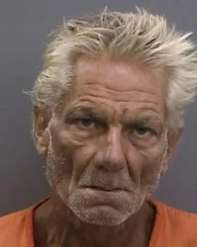 LOUIS-III FRIOL booked for 250.00