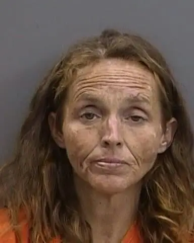 TIFFANY RYAN booked for 500.00
