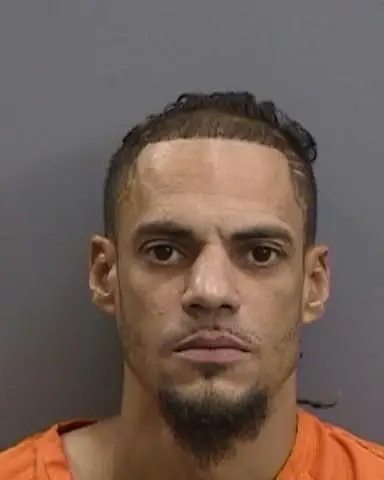 YOANDER ROYO-RONDON booked for 0.00