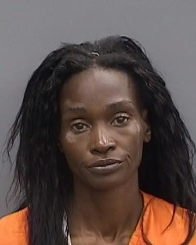 MELISSA FREEMAN booked for 500.00