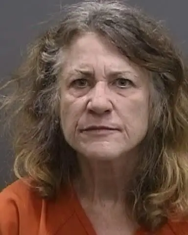 Hillsborough County Who's in Jail - HCSO Arrest Inquiry Search
